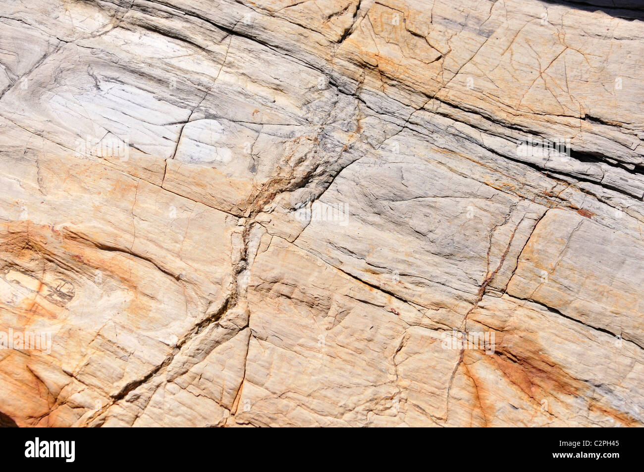 Petrified rose hi-res stock photography and images - Alamy