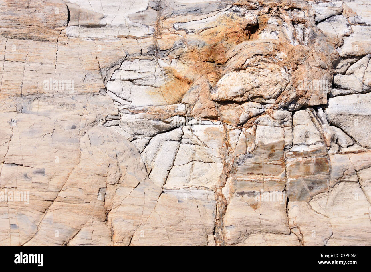 Petrified rose hi-res stock photography and images - Alamy