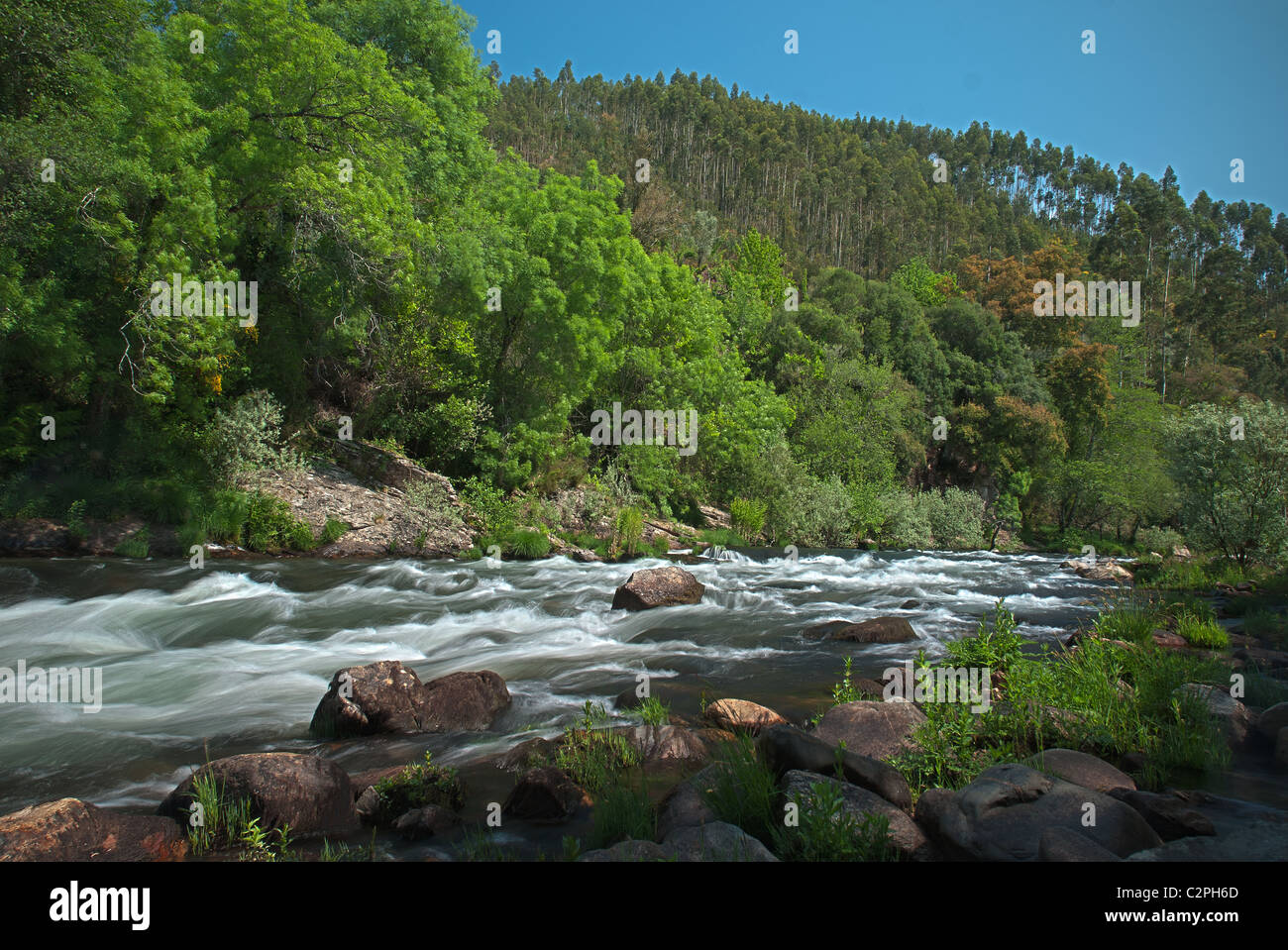 River water stream on a sunny clear sky spring day in forest Stock ...