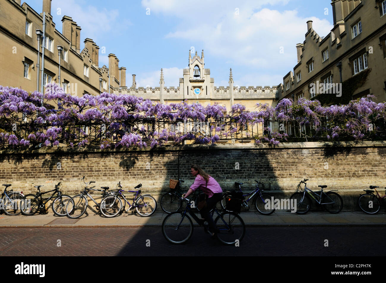 A Woman Cycling past Sidney Sussex College, Cambridge, England, Uk ...