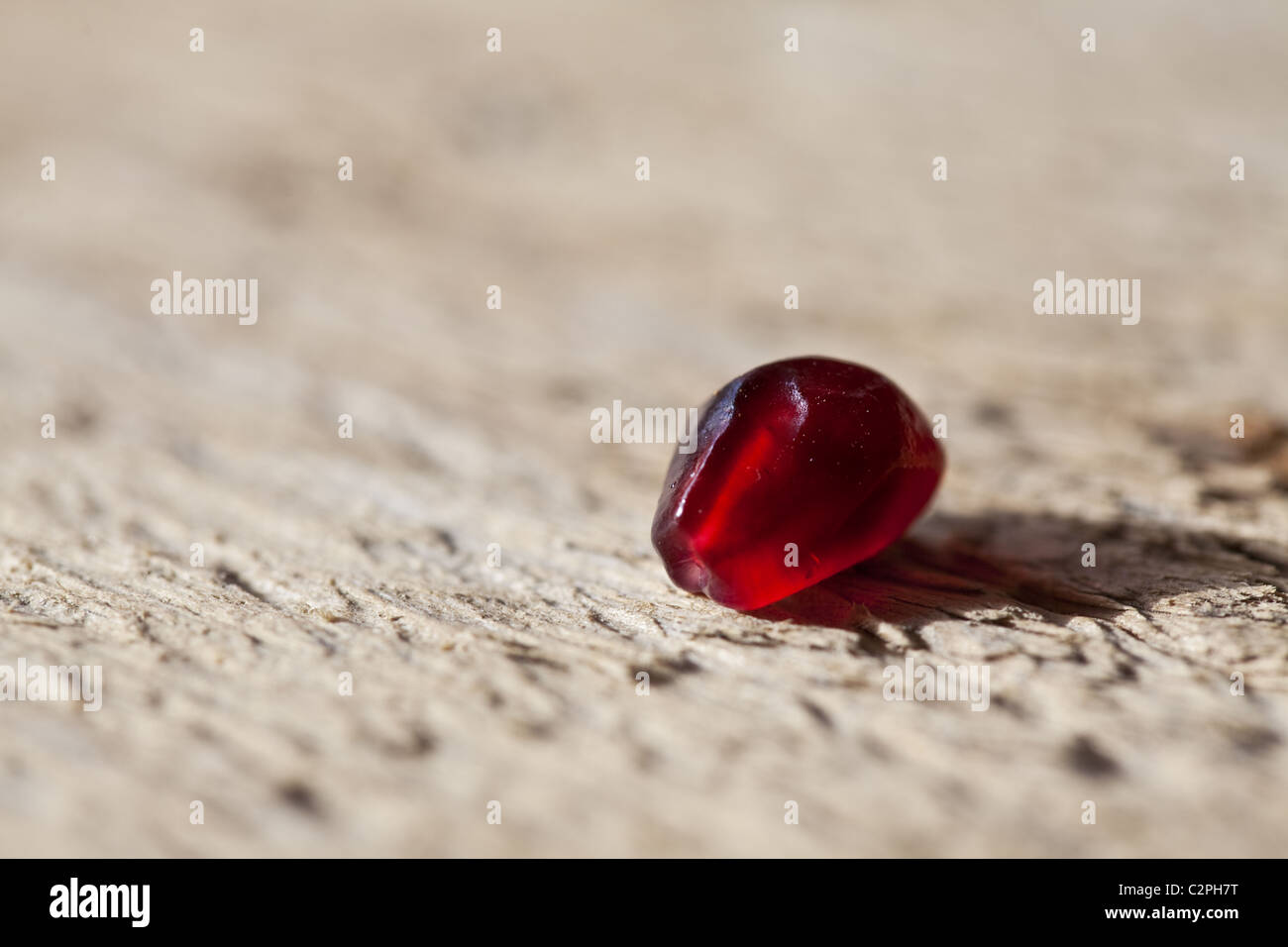 Aril hi-res stock photography and images - Alamy