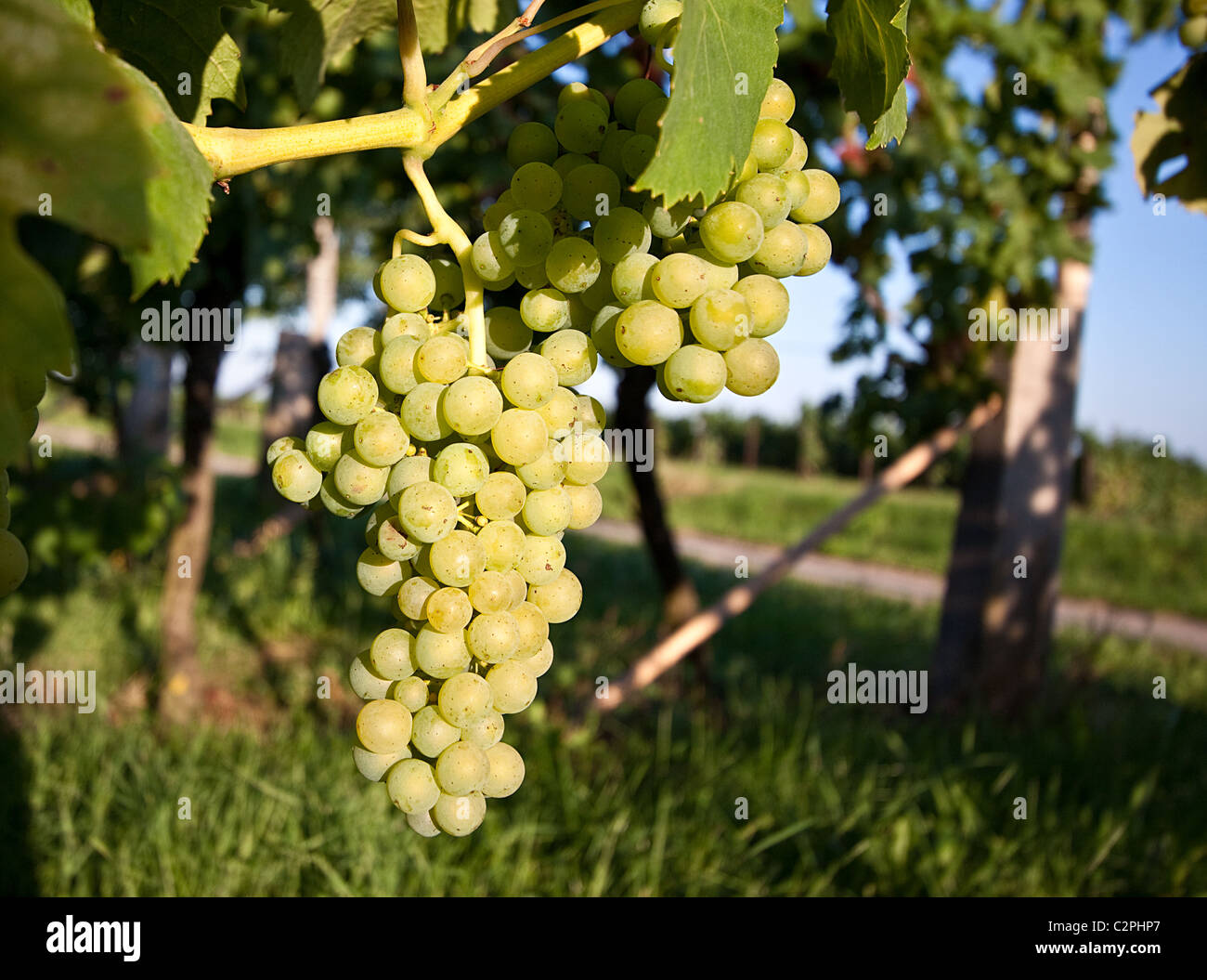 End of summer harvest hi-res stock photography and images - Alamy