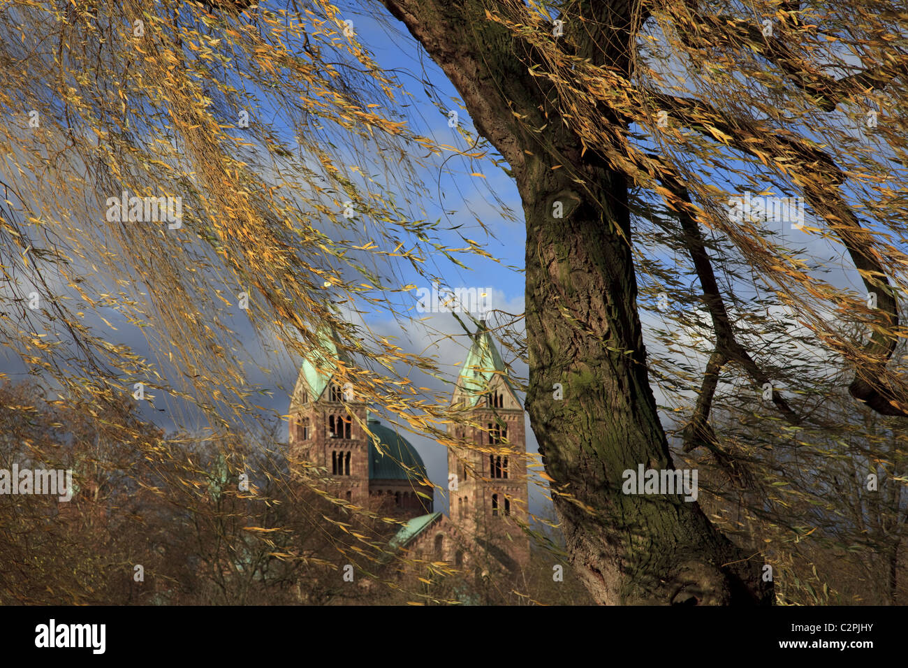 September tree colors hi-res stock photography and images - Alamy