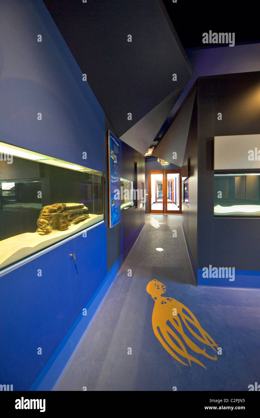 Fish research australia hi-res stock photography and images - Alamy