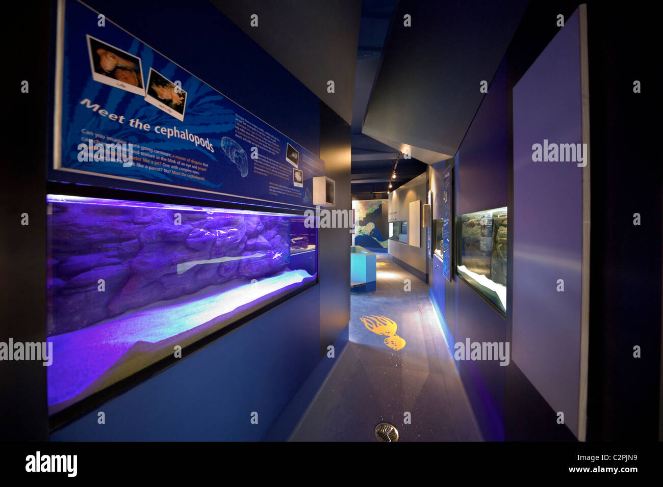 Fish research australia hi-res stock photography and images - Alamy