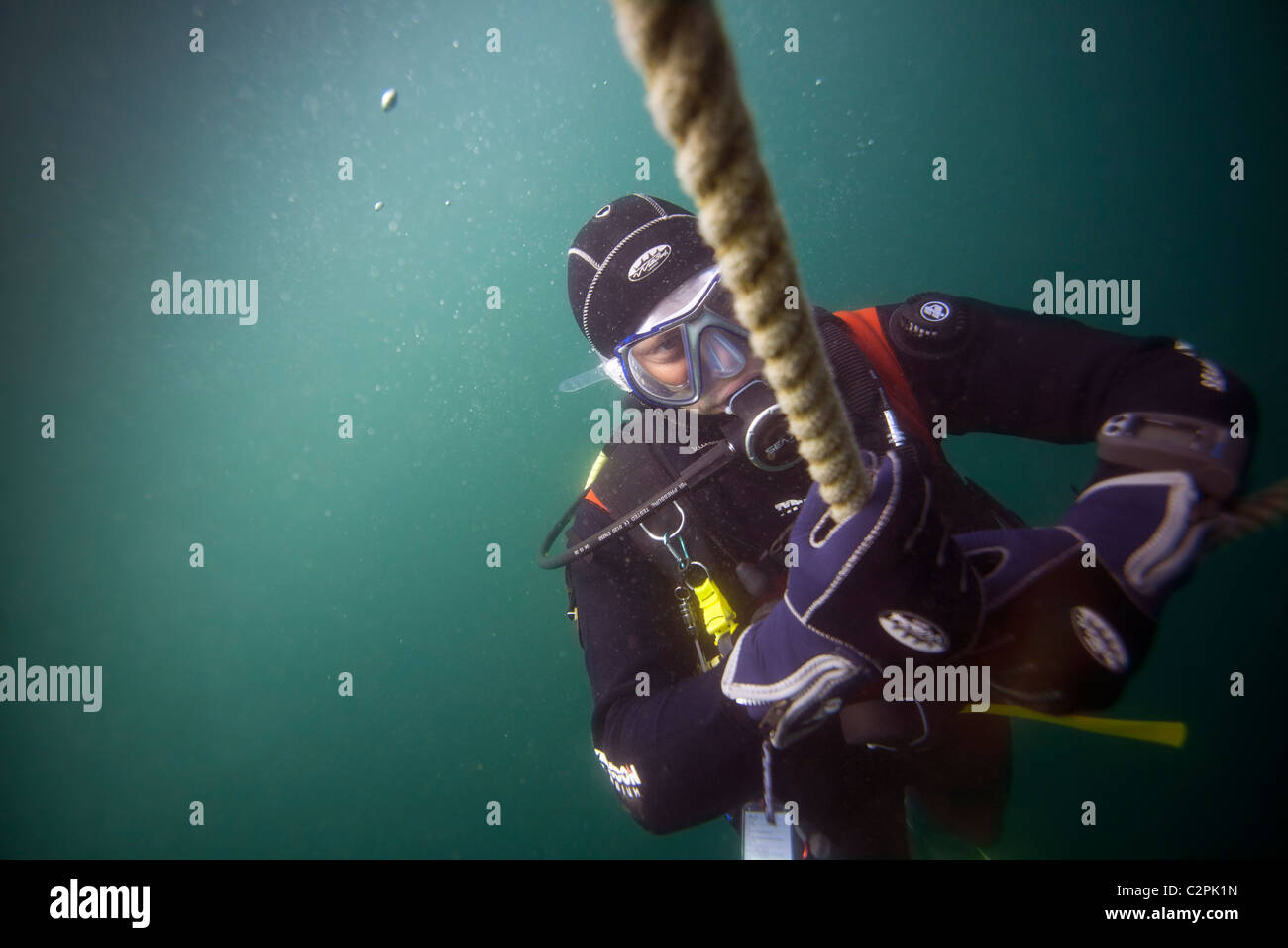 A diver on the shot-line during his safety-stop after diving the wreck ...