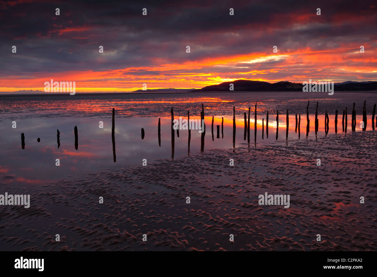 Mersehead hi-res stock photography and images - Alamy