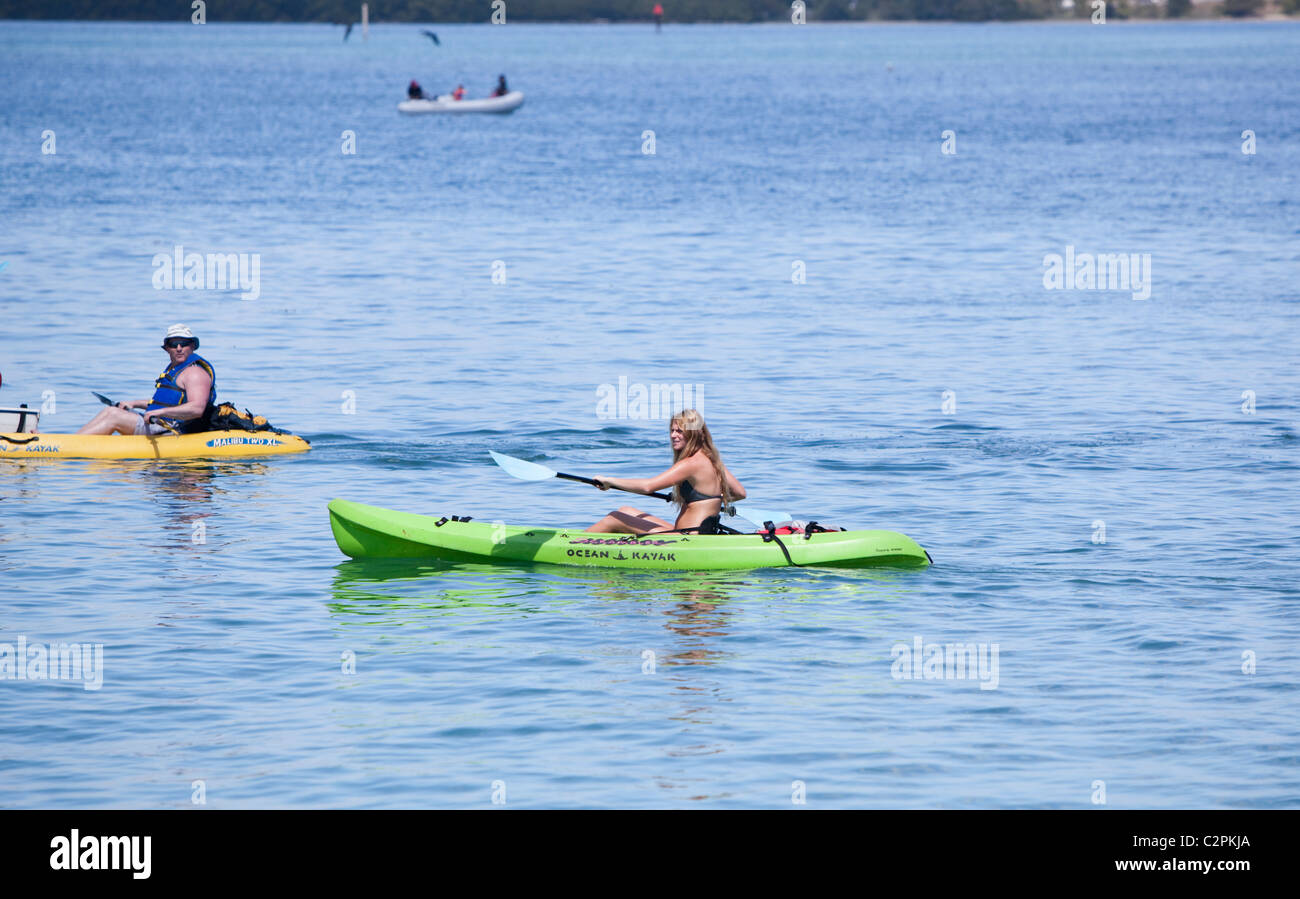 People kayaking in the sea, Miami, Florida, USA Stock Photo - Alamy