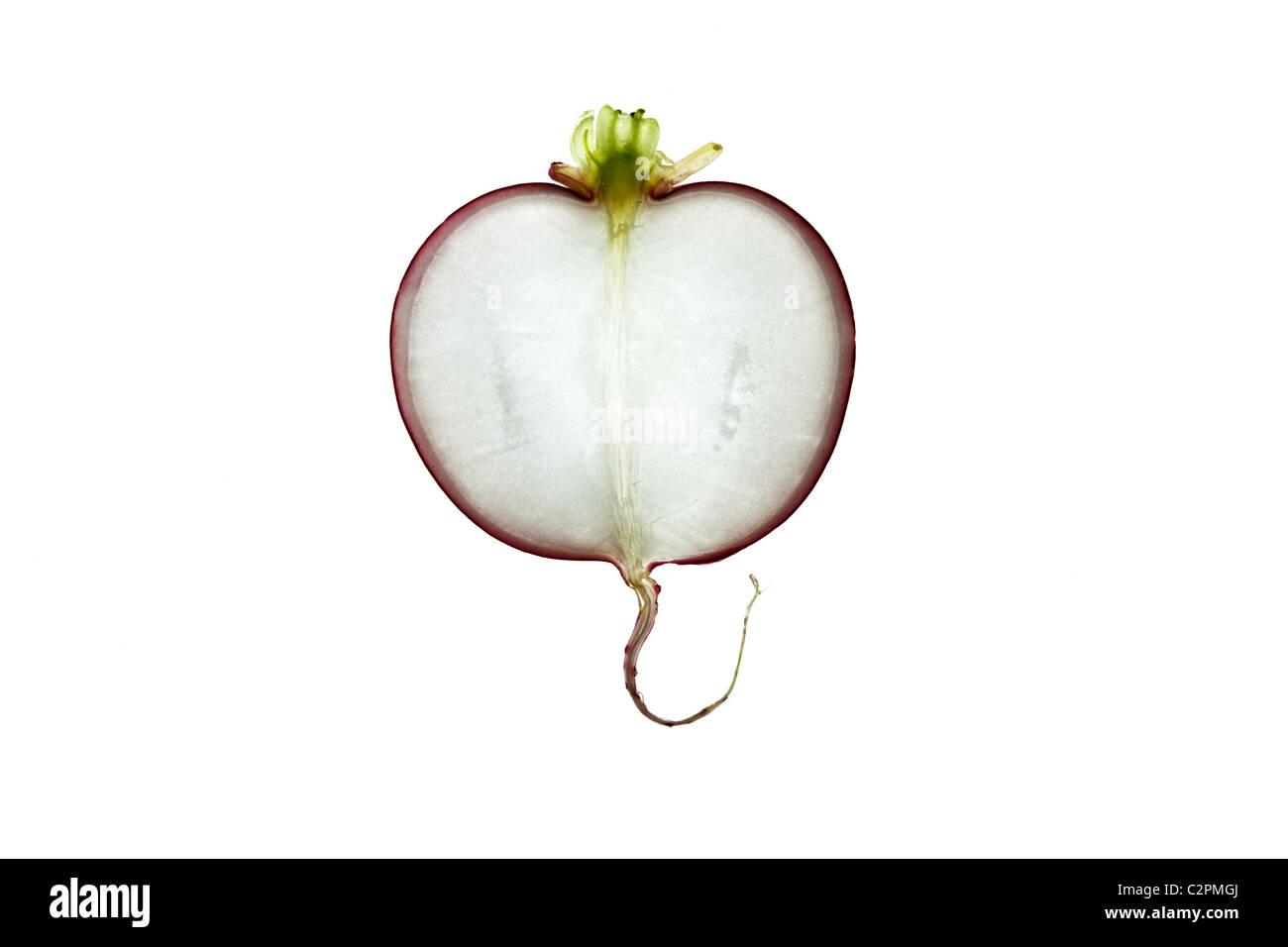 White radish slices Cut Out Stock Images & Pictures - Alamy