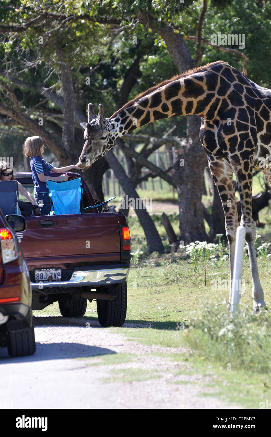 Texas fossil rim hi-res stock photography and images - Alamy