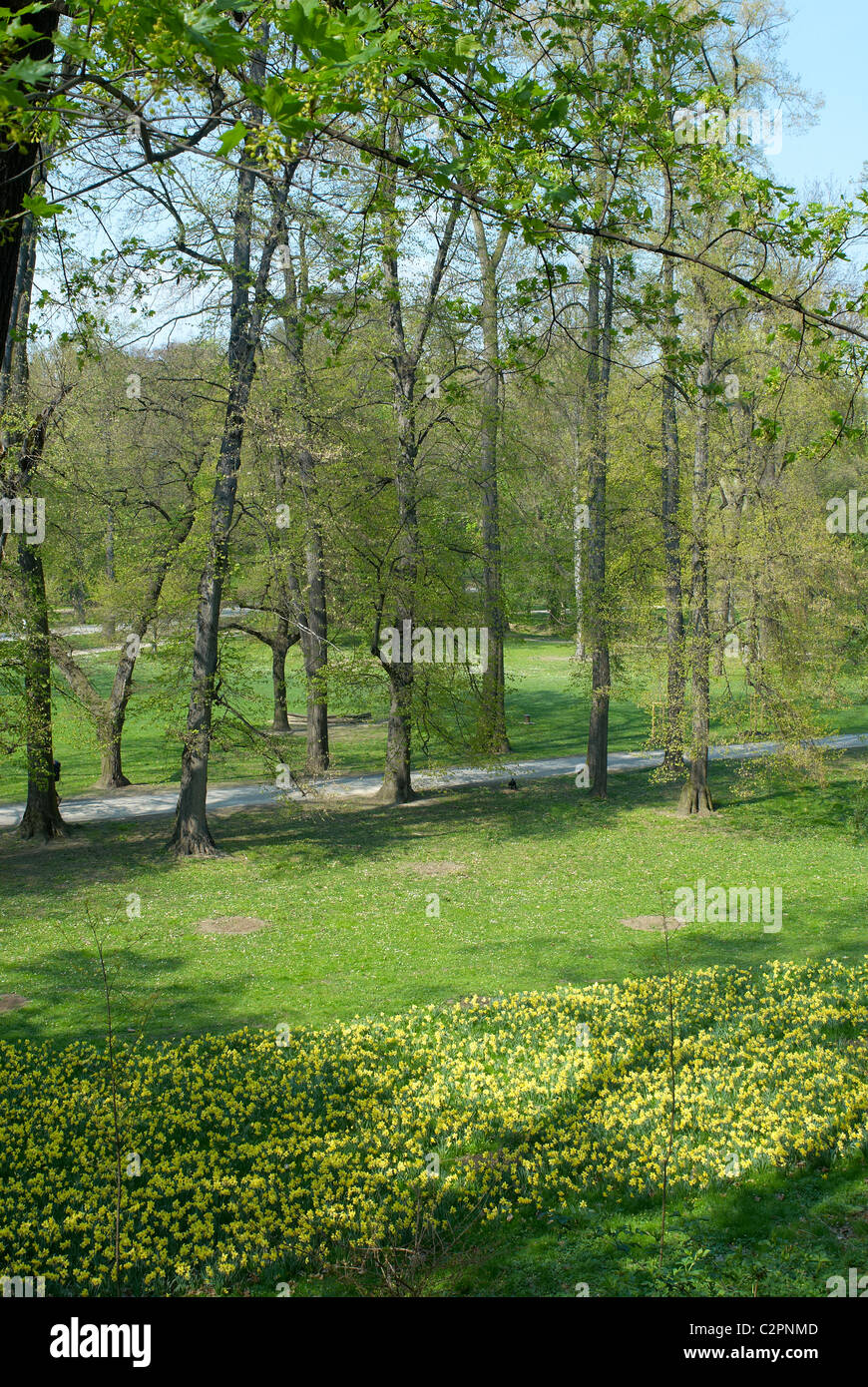 Stromovka Park Prague Czech Republic Stock Photo - Alamy