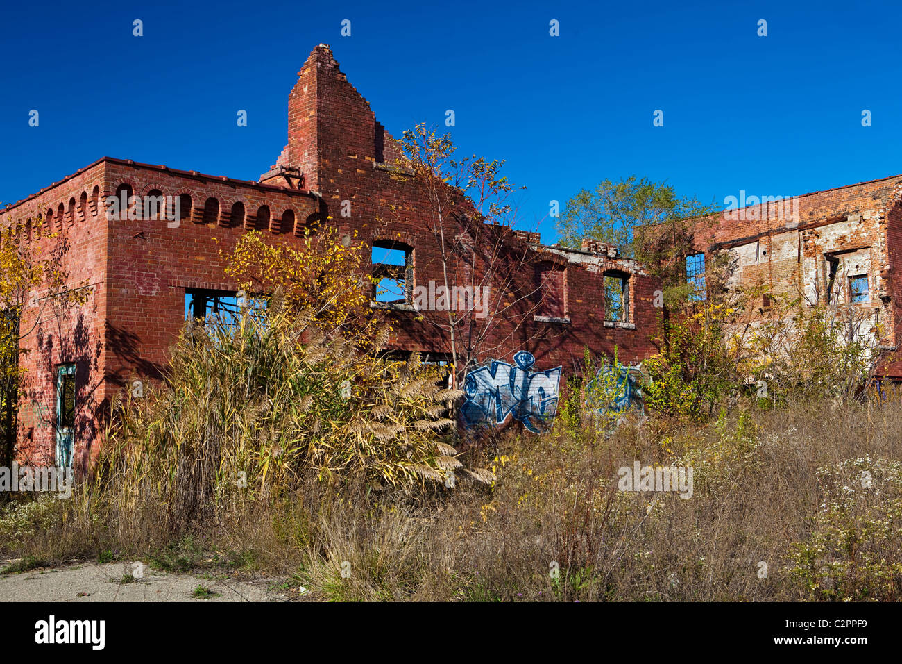 Decay detroit wall art weeds crumbling hi-res stock photography and ...