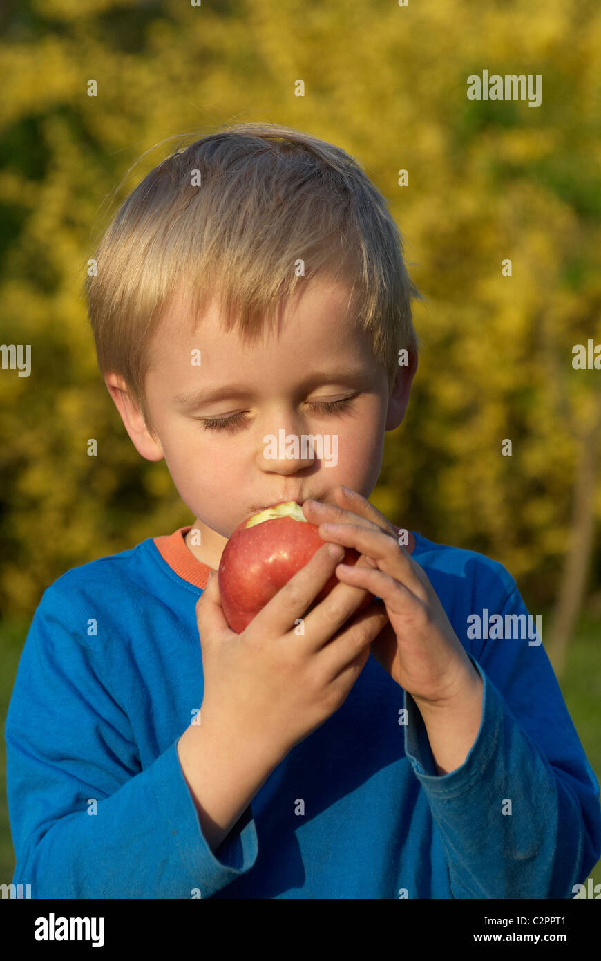 Child Blond Boy Eating Apple outside Stock Photo - Alamy