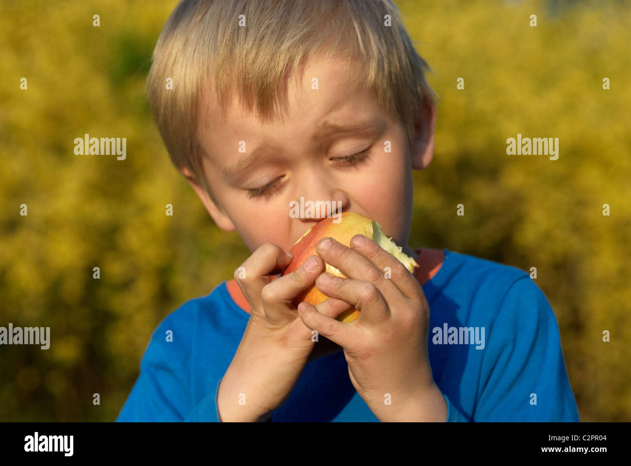 Child Blond Boy Eating Apple outside Stock Photo - Alamy