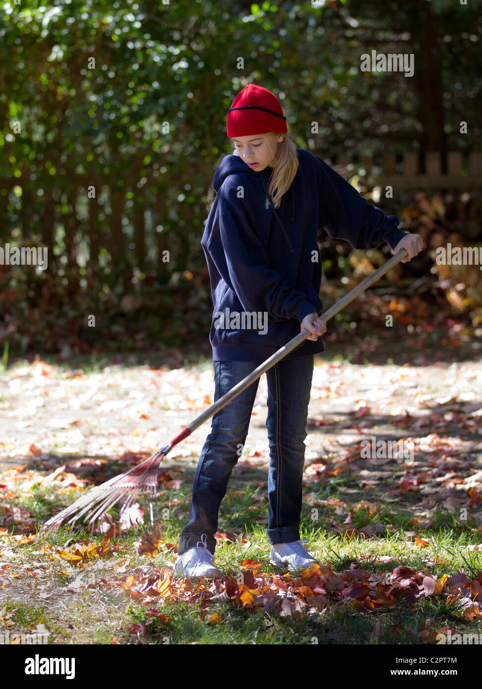 A child raking leaves in the backyard of her home Stock Photo - Alamy