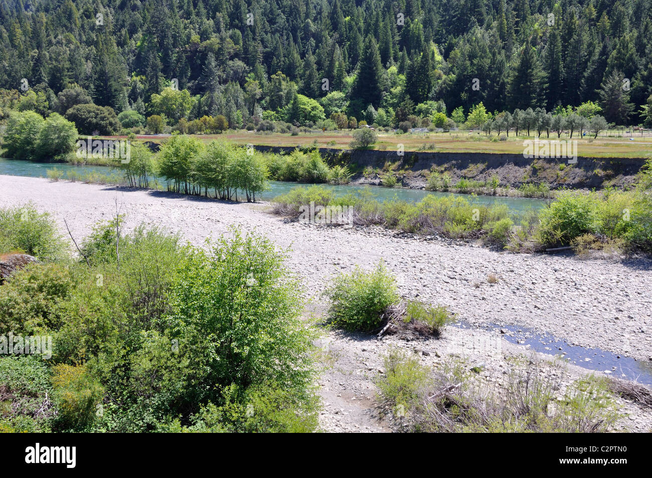 River in Redwoods National Park, California, USA Stock Photo - Alamy