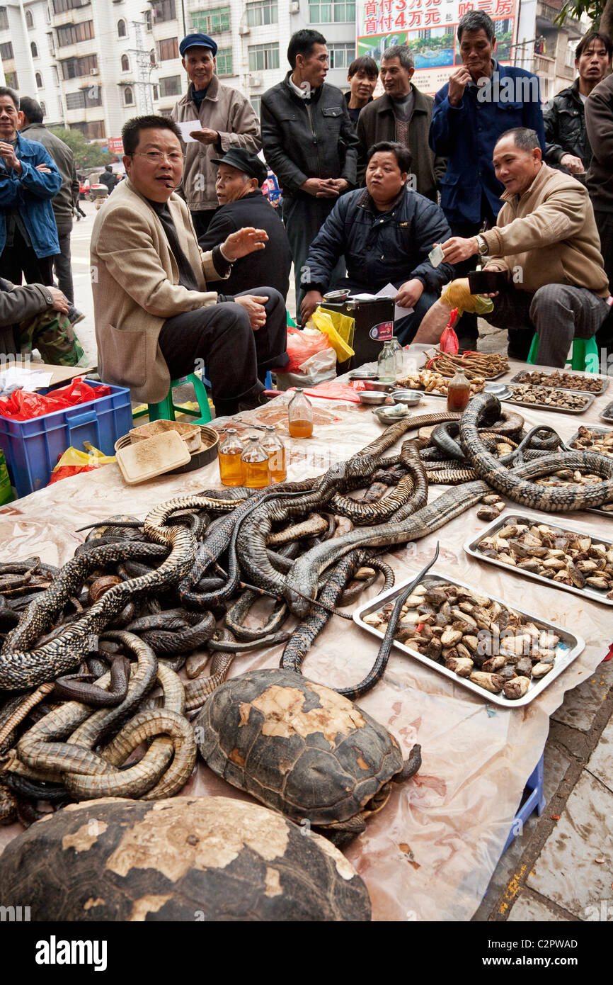 A street vendor selling snake medications to the local people of Guilin ...