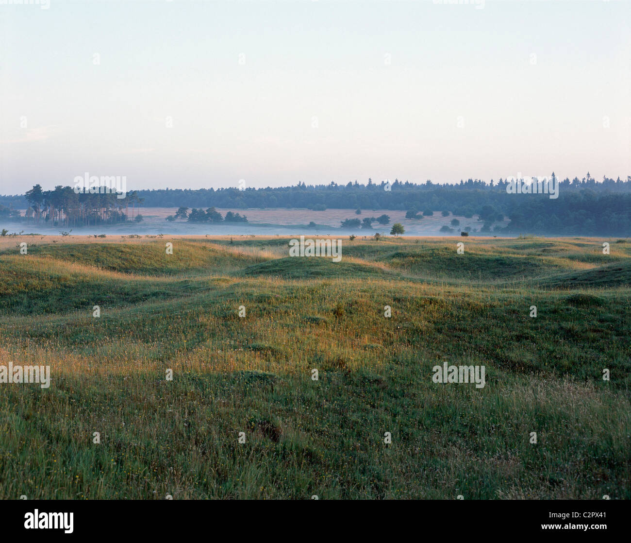 Grimes Graves. Neolithic flint mine. General view from the surface ...