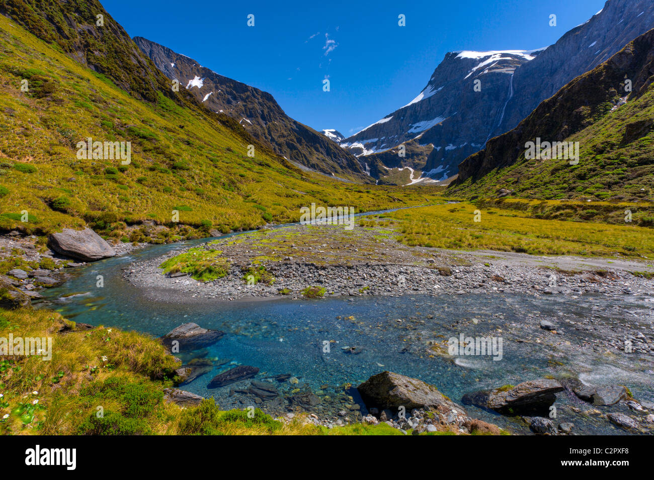 Clean green new zealand hi-res stock photography and images - Alamy