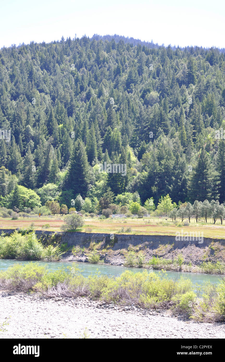 River in Redwoods National Park, California, USA Stock Photo - Alamy
