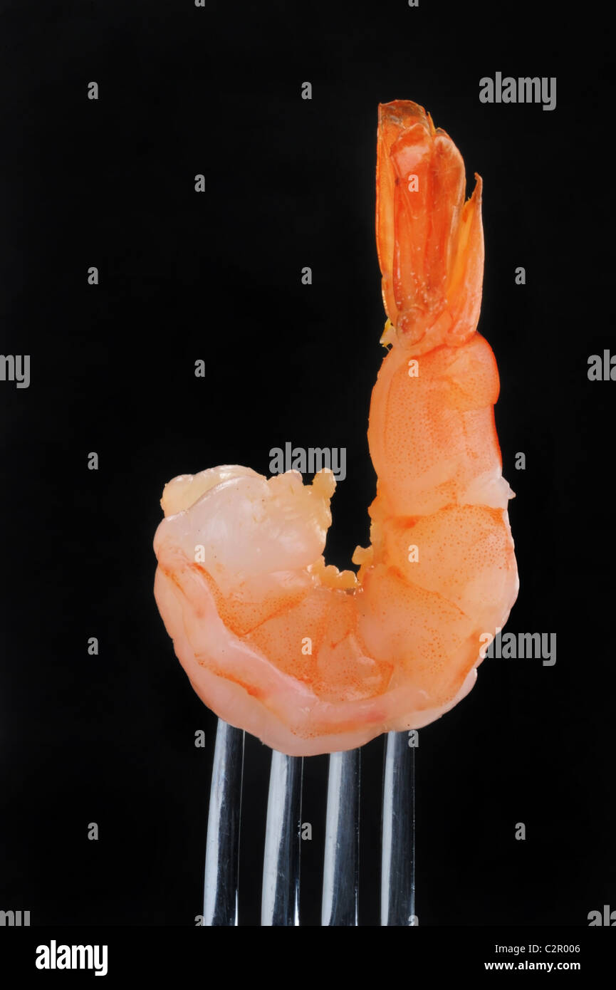 Pink Boiled Shrimp Stock Photo - Alamy