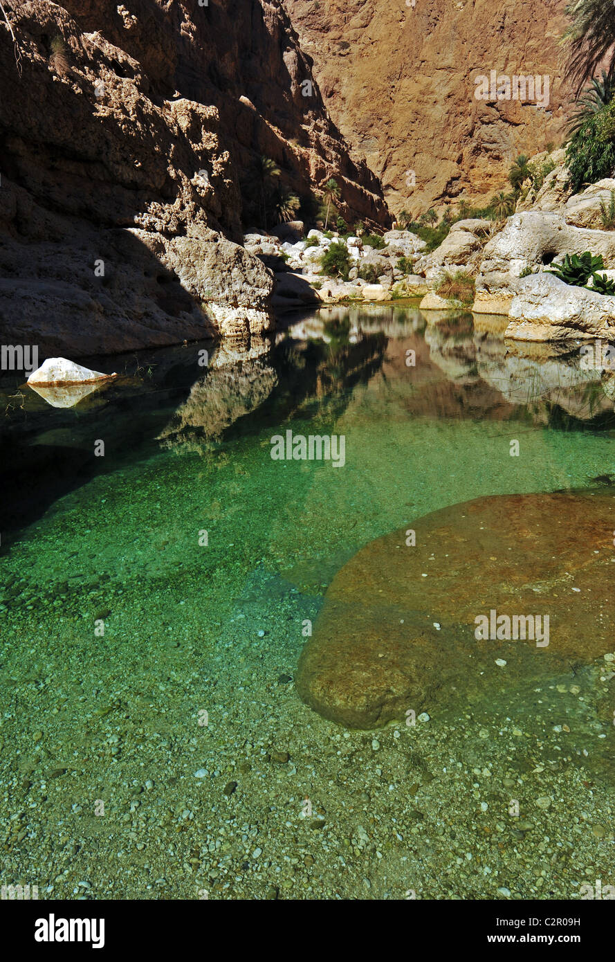 Oman, natural pristine green pools with palm trees in Wadi Shab running ...