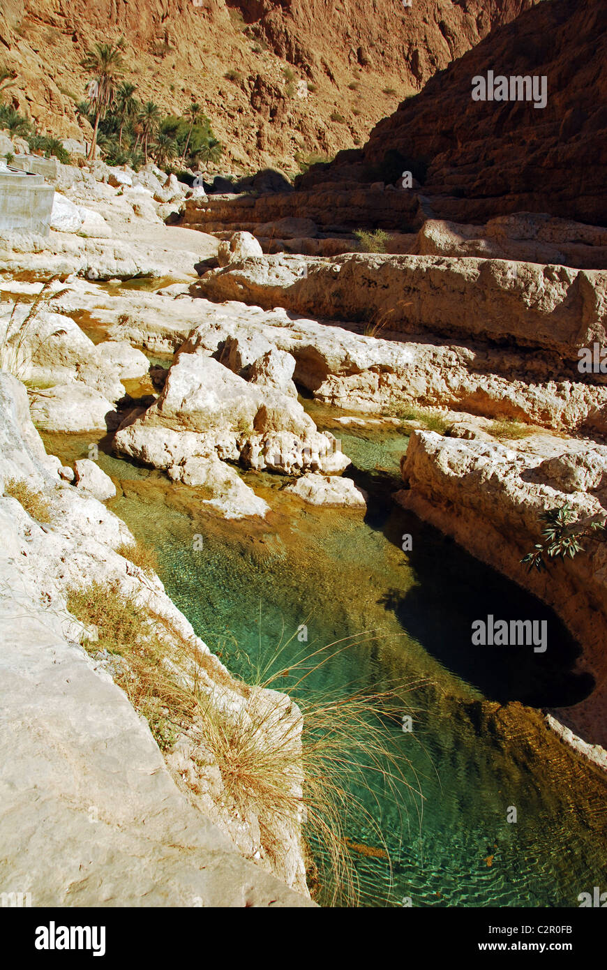 Oman, Wadi Shab, natural pristine green pool by rocky cliffs with its ...