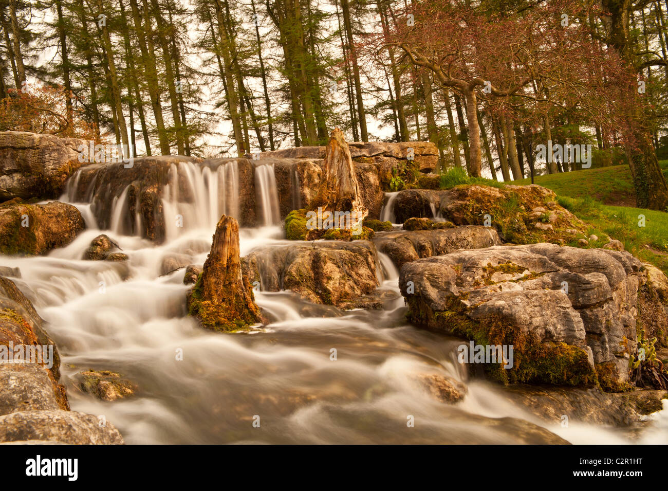Willow riverbed hi-res stock photography and images - Alamy