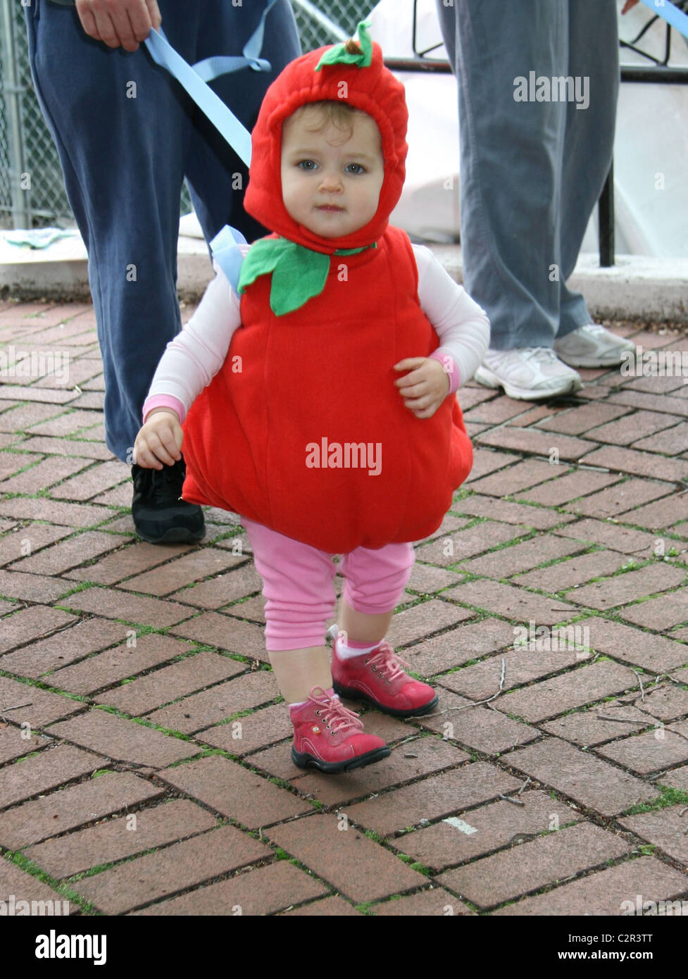 1st Veggie Pride Parade Inspired by a similar parade in Paris, France ...