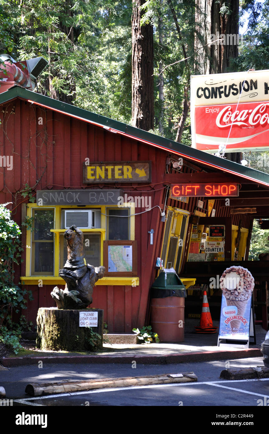 Confusion Hill - Redwoods National Park, Northern California tourist ...