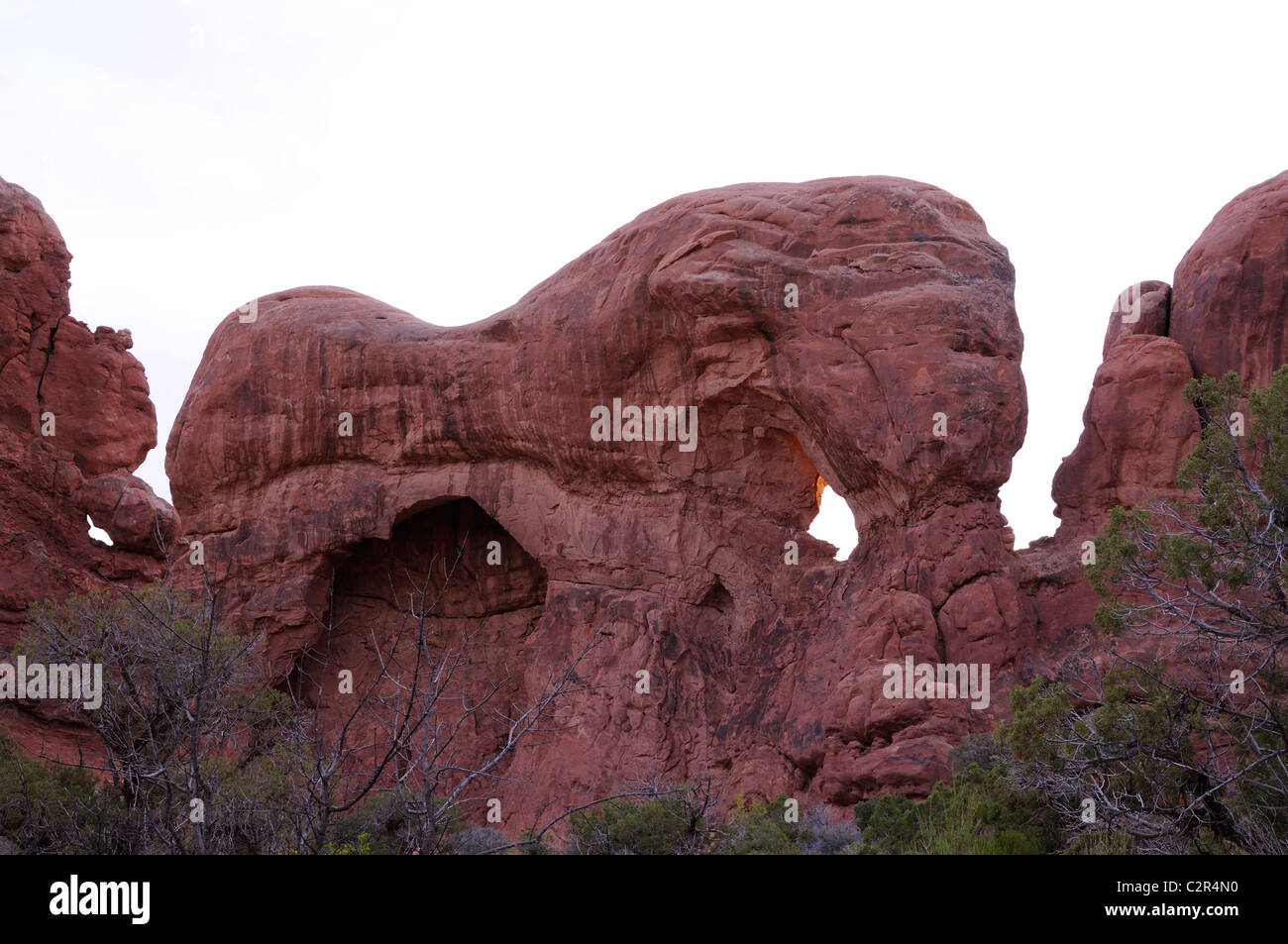 Parade of Elephants Arc, Arches National Park, Utah, USA Stock Photo ...