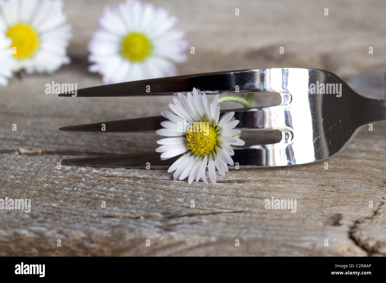 Steel Fork and flower Stock Photo - Alamy