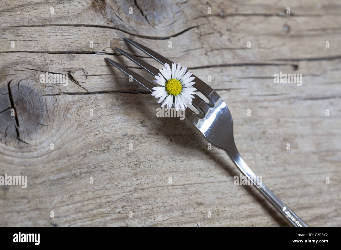 Steel Fork and flower Stock Photo - Alamy