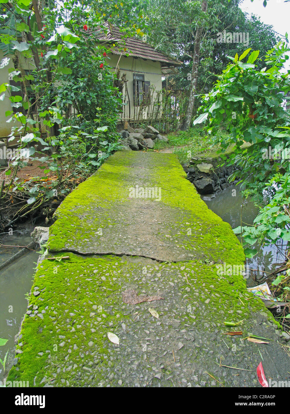 A calm pathway, India Stock Photo - Alamy
