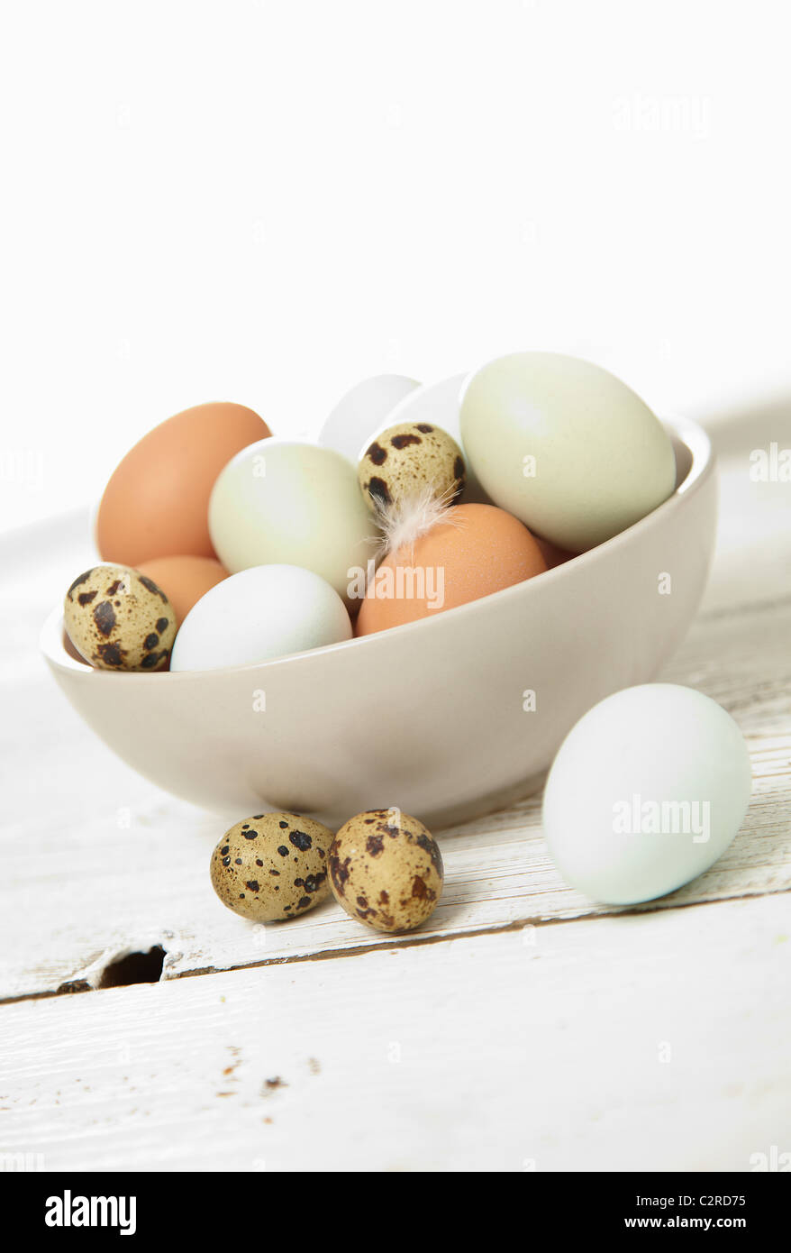 Different types home made hi-res stock photography and images - Alamy