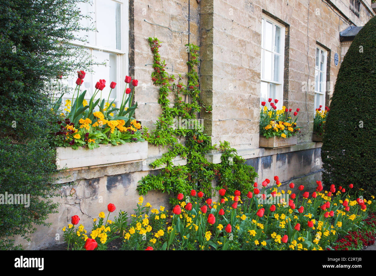 Spring Flowers at Knaresborough House Knaresborough North Yorkshire ...