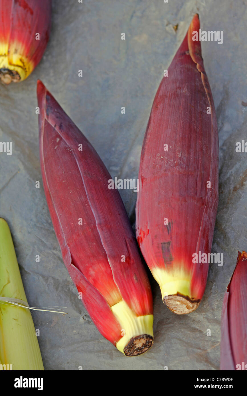 Banana flowers, Musa x paradisiaca at market, Miao, Arunachal Pradesh ...