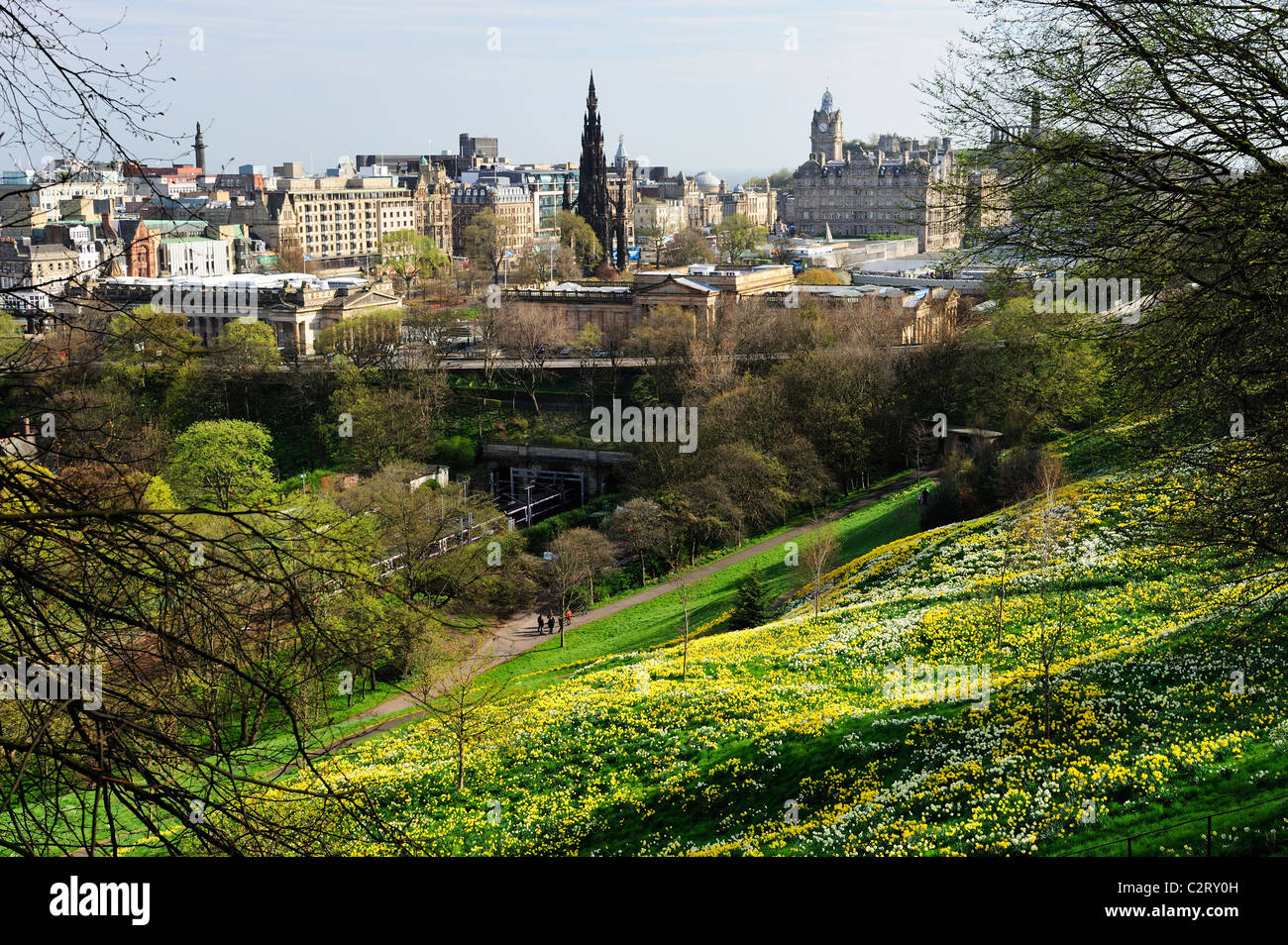 Daffodils on the castle embankment in Princes Street Gardens, Edinburgh ...