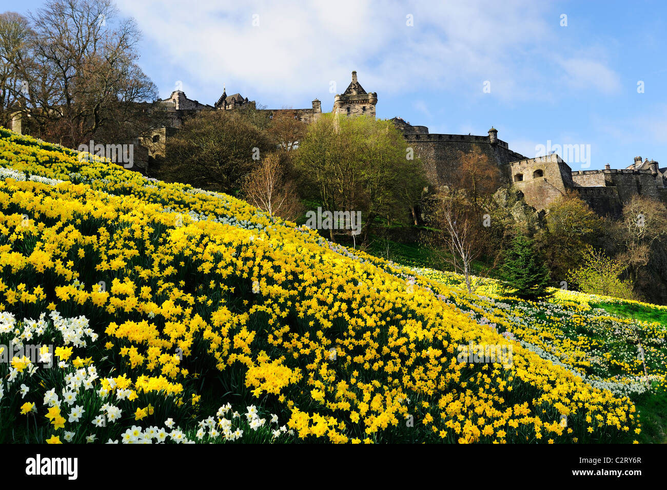Edinburgh castle ramparts hi-res stock photography and images - Alamy