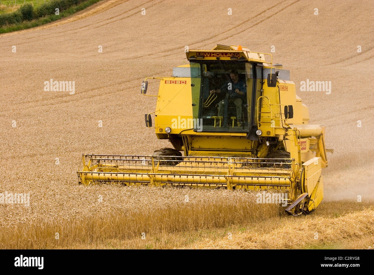 Combine Harvester at Work Stock Photo - Alamy