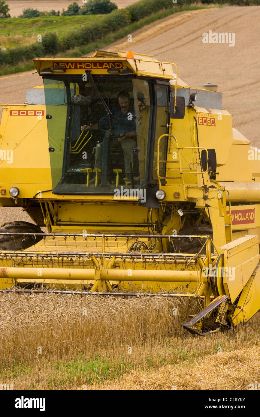Combine Harvester at Work Stock Photo - Alamy