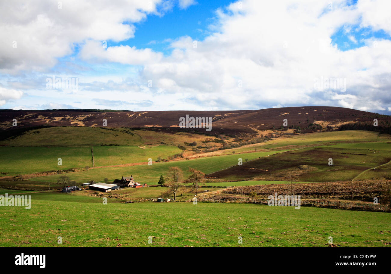 A view of a typical farming landscape in Central Aberdeenshire ...
