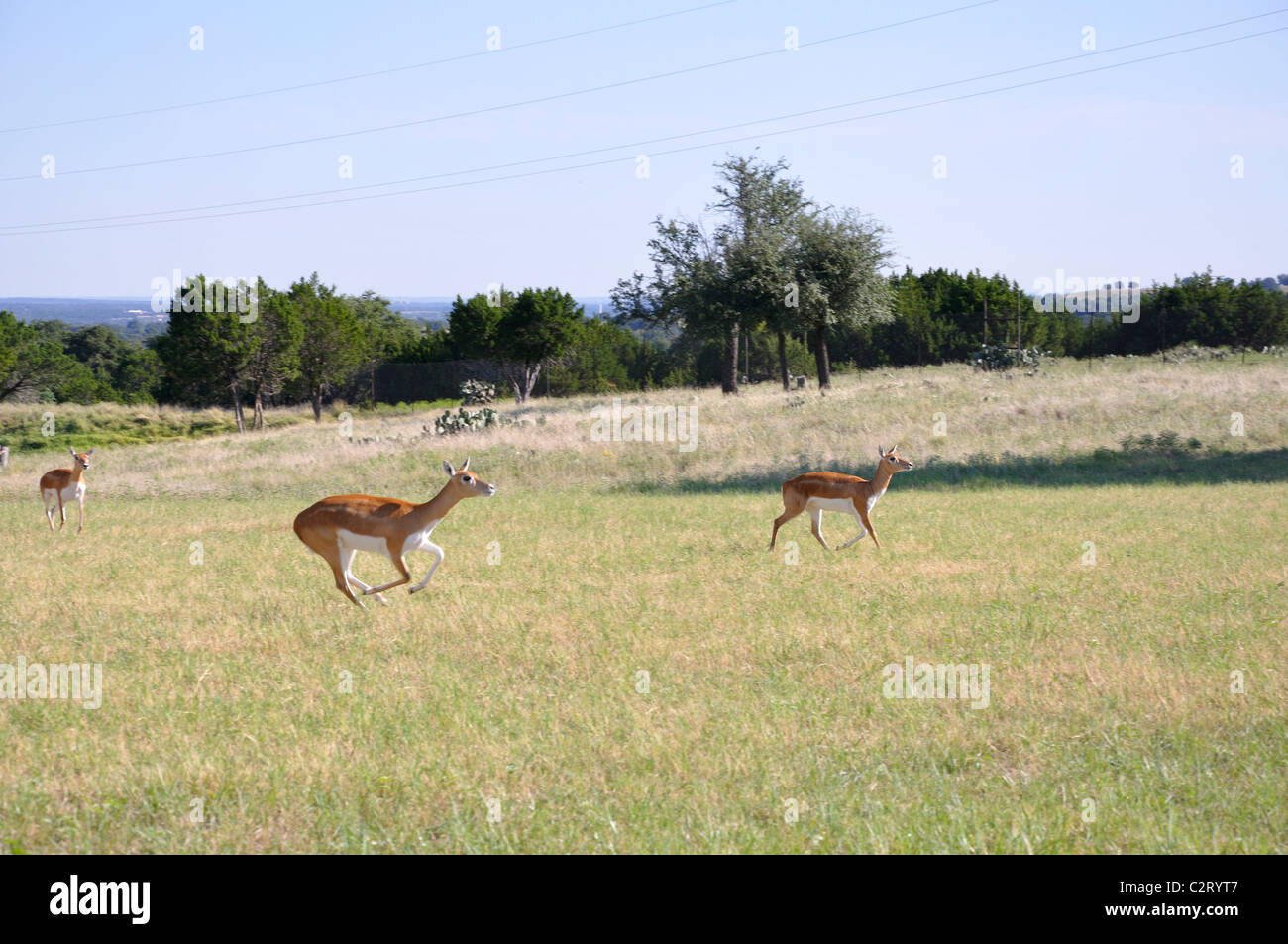 Texas fossil rim hi-res stock photography and images - Alamy
