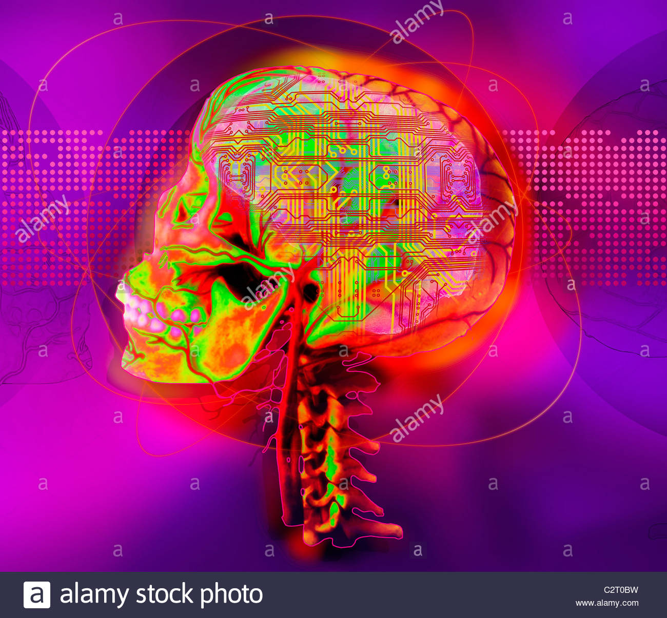 Computer Circuit Board X Ray Stock Photos & Computer Circuit Board X ...