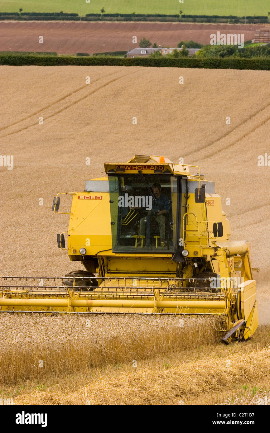 Combine Harvester at Work Stock Photo - Alamy