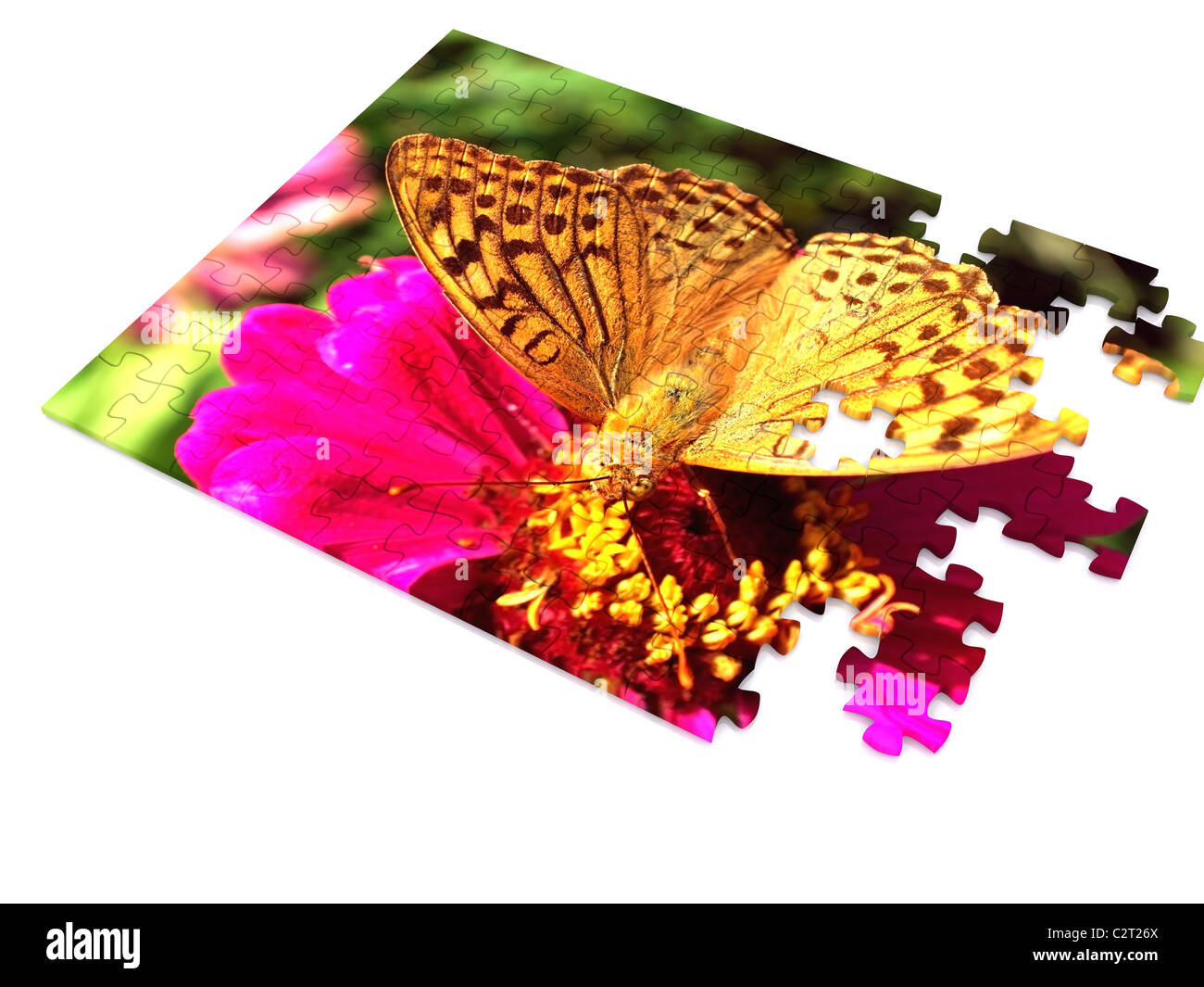 Butterfly Jigsaw Puzzle High Resolution Stock Photography and Images ...