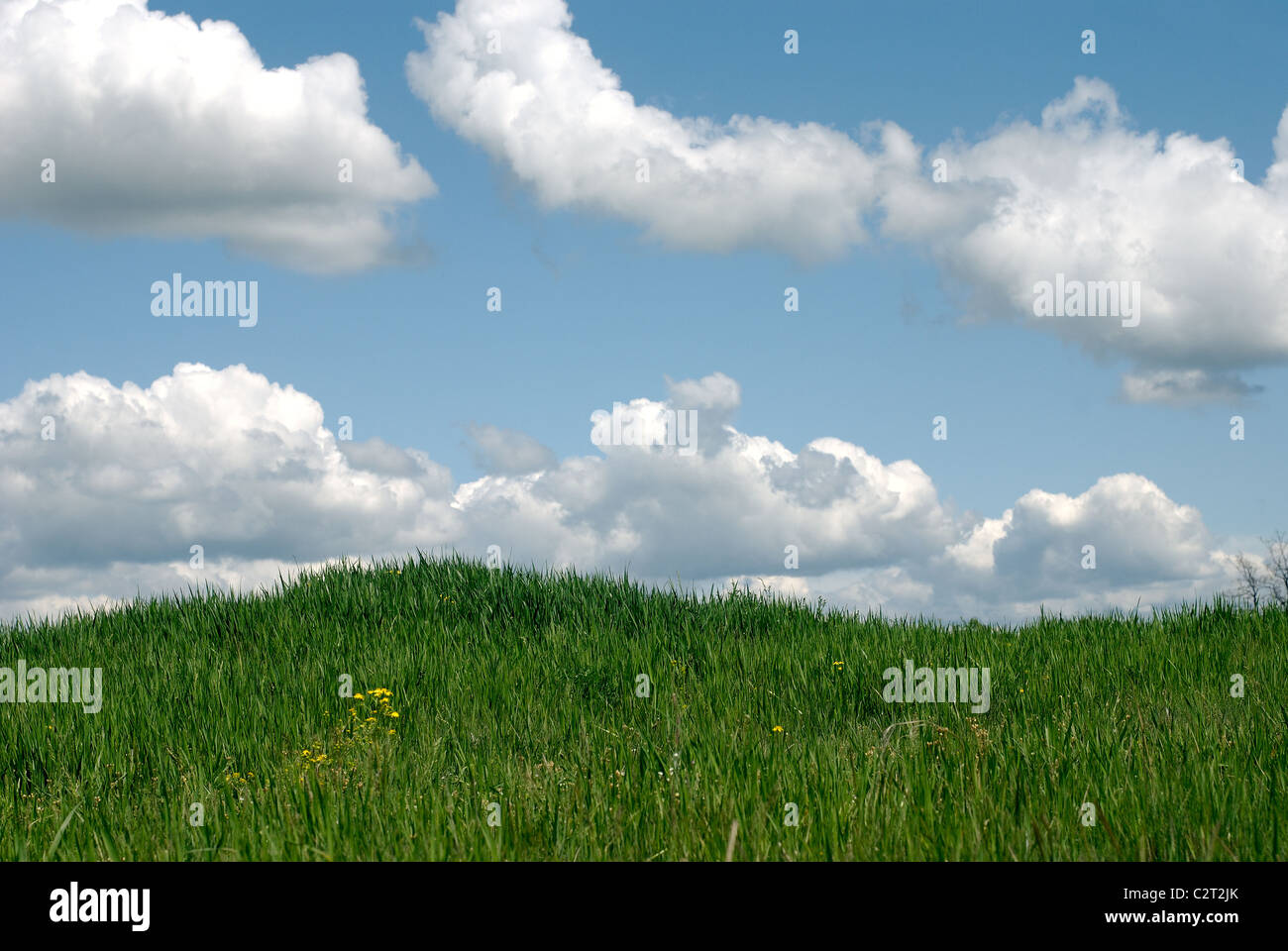 Non landscape hi-res stock photography and images - Alamy