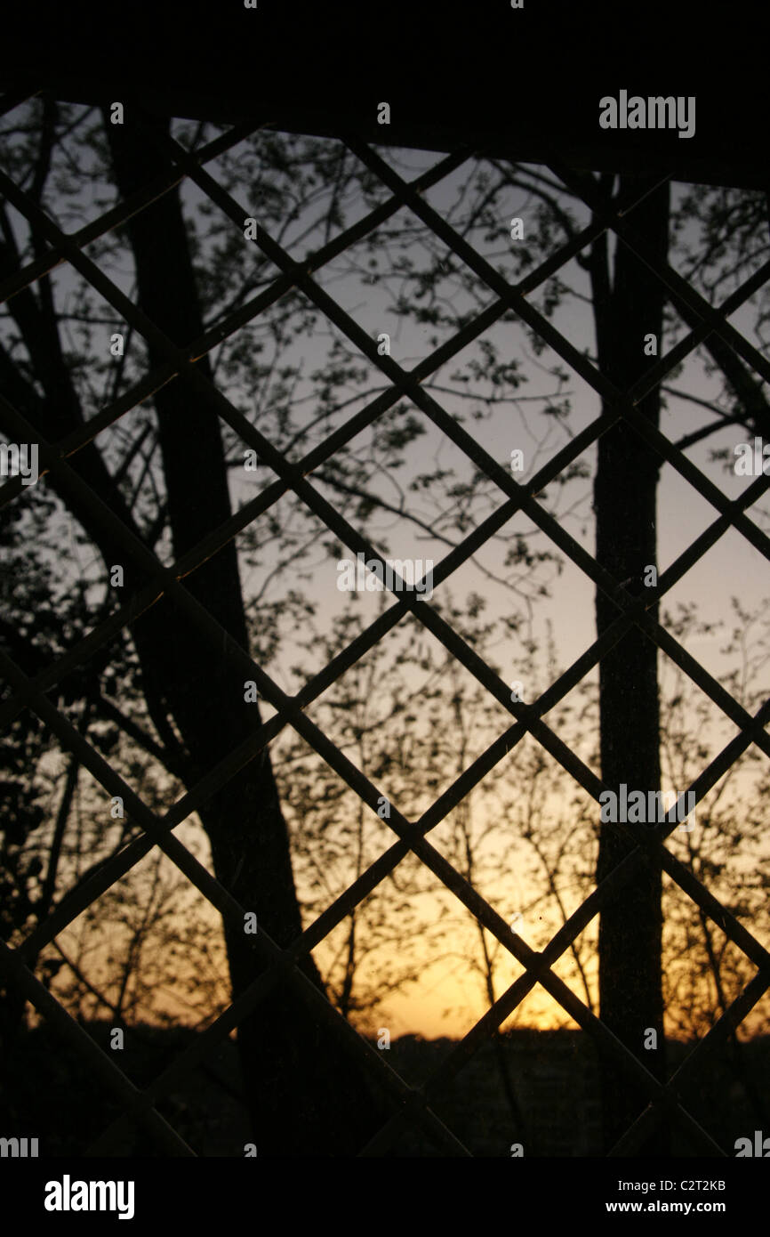 view of trees through window bars Stock Photo - Alamy