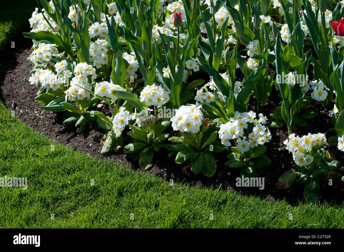 Crescendo hi-res stock photography and images - Alamy