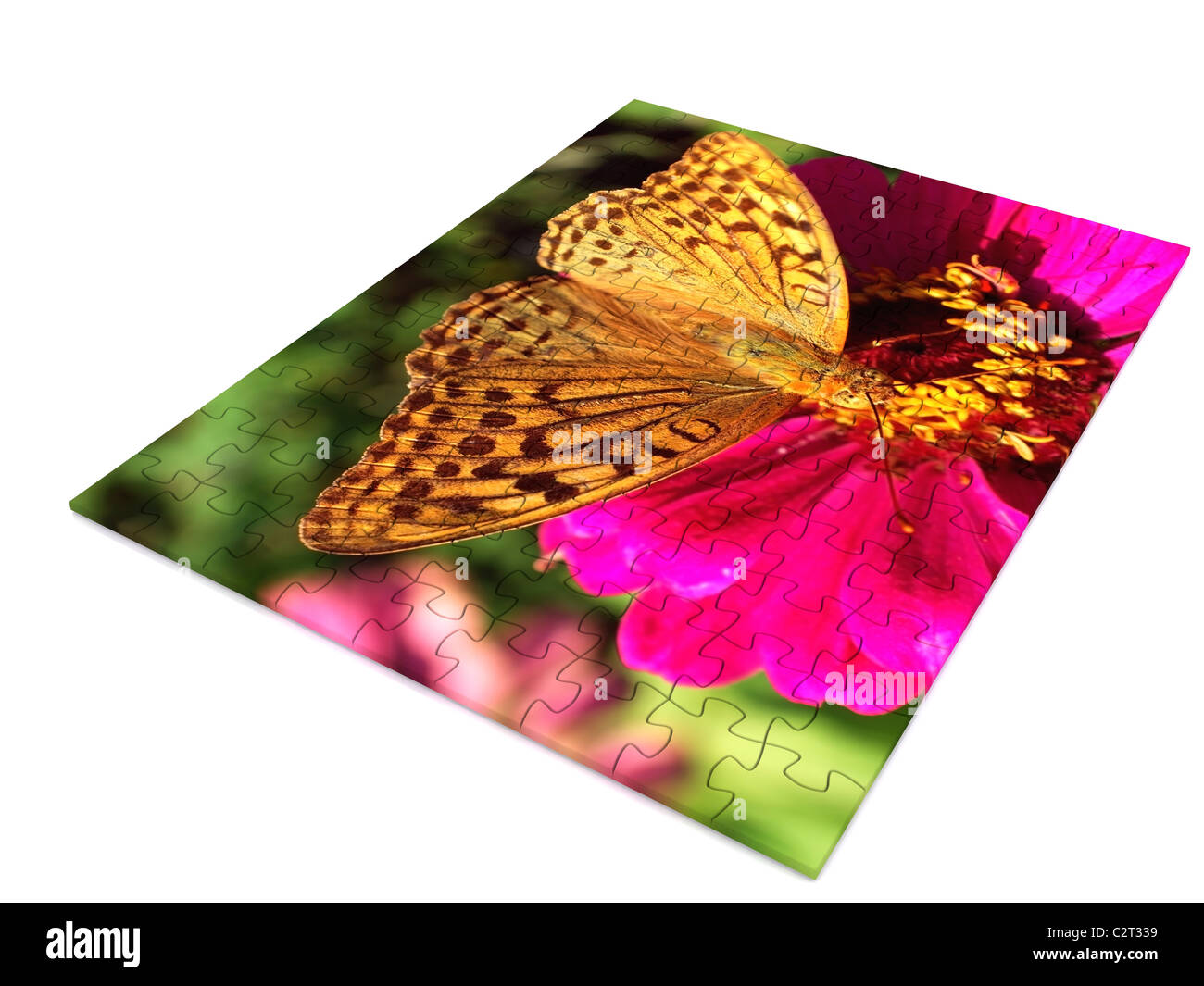 puzzle piece of butterfly. 3d Stock Photo - Alamy
